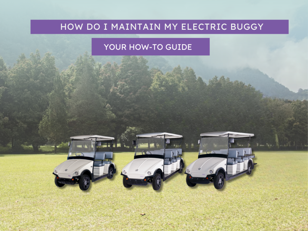 A complete Guide to maintain your Electric Buggy